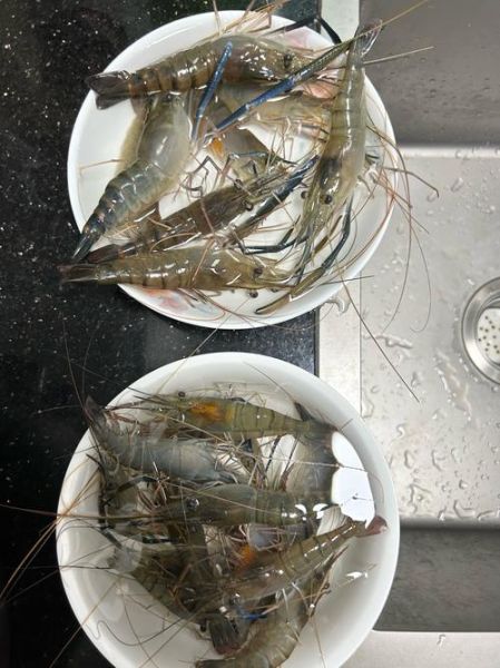 河虾高清大图哪里找_河虾图片怎么拍才清晰-第1张图片-山城妙识 河虾高清大图哪里找_河虾图片怎么拍才清晰-第1张图片-山城妙识