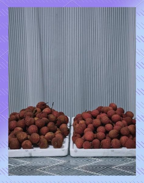 荔枝怎么保鲜_荔枝保存多久不会坏-第1张图片-山城妙识