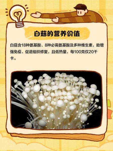 白菇怎么保存_白菇可以生吃吗-第3张图片-山城妙识 白菇怎么保存_白菇可以生吃吗-第3张图片-山城妙识