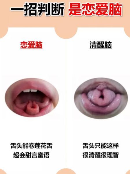 莲花卷舌怎么练_莲花卷舌图片真实吗-第1张图片-山城妙识