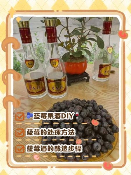 蓝莓和什么一起泡酒最好_蓝莓泡酒最佳搭配-第1张图片-山城妙识