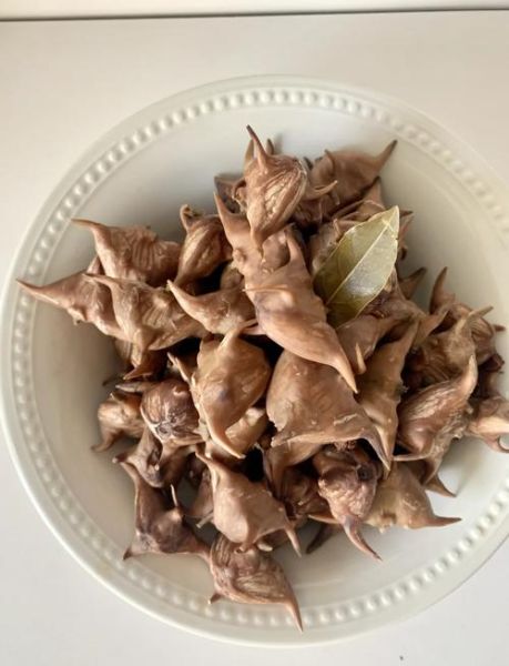 煮菱角要放盐吗_菱角怎么煮才入味-第1张图片-山城妙识 煮菱角要放盐吗_菱角怎么煮才入味-第1张图片-山城妙识