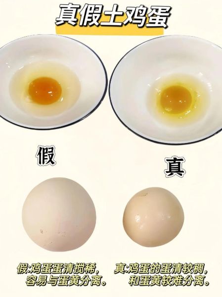 土鸡蛋和柴鸡蛋的区别_土鸡蛋怎么辨别真假-第3张图片-山城妙识 土鸡蛋和柴鸡蛋的区别_土鸡蛋怎么辨别真假-第3张图片-山城妙识