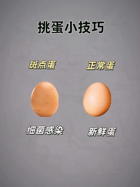 土鸡蛋和柴鸡蛋的区别_土鸡蛋怎么辨别真假-第1张图片-山城妙识 土鸡蛋和柴鸡蛋的区别_土鸡蛋怎么辨别真假-第1张图片-山城妙识