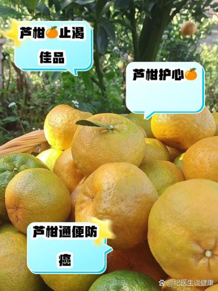 芦柑是上火还是下火_芦柑吃多了会上火吗-第2张图片-山城妙识 芦柑是上火还是下火_芦柑吃多了会上火吗-第2张图片-山城妙识