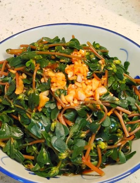 鲜马齿苋怎么吃_鲜马齿苋凉拌做法-第2张图片-山城妙识