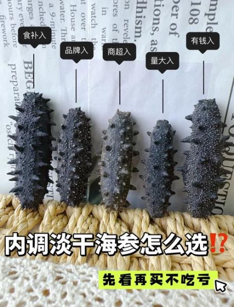 海参哪种比较好_海参品种选购指南-第2张图片-山城妙识