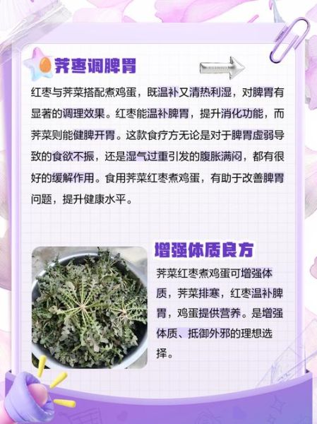 鸡蛋和荠菜一起吃有什么好处_鸡蛋荠菜同食禁忌-第1张图片-山城妙识