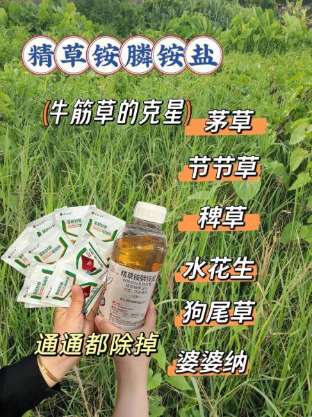牛筋草用什么除草剂_牛筋草除草剂推荐-第1张图片-山城妙识
