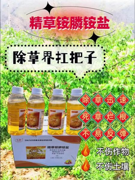 牛筋草用什么除草剂_牛筋草除草剂推荐-第3张图片-山城妙识