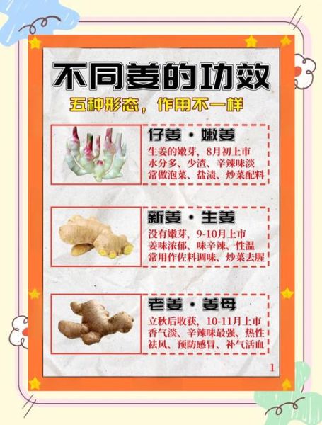 生姜的副作用有哪些_生姜的禁忌人群-第1张图片-山城妙识