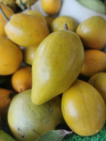 南方水果大全有哪些_南方水果怎么保存-第3张图片-山城妙识 南方水果大全有哪些_南方水果怎么保存-第3张图片-山城妙识