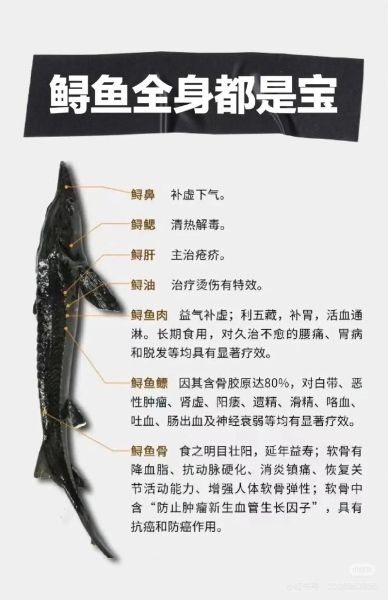 鲟鱼好养吗_鲟鱼养殖新手入门-第2张图片-山城妙识