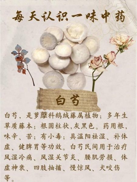 白芍养胃吗_白芍对胃的功效与作用-第1张图片-山城妙识 白芍养胃吗_白芍对胃的功效与作用-第1张图片-山城妙识