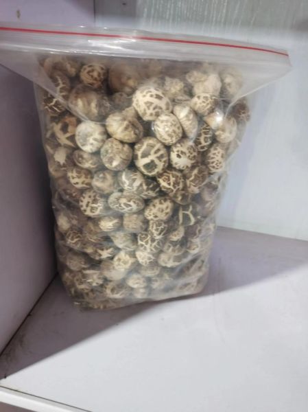 大花菇多少钱一斤_大花菇价格行情-第1张图片-山城妙识