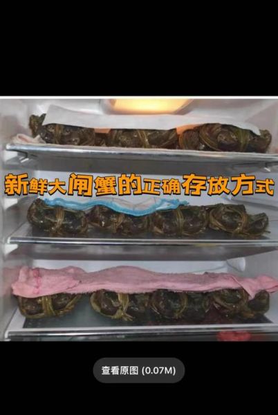 螃蟹保存生的好还是熟的好_冷藏冷冻区别-第2张图片-山城妙识 螃蟹保存生的好还是熟的好_冷藏冷冻区别-第2张图片-山城妙识