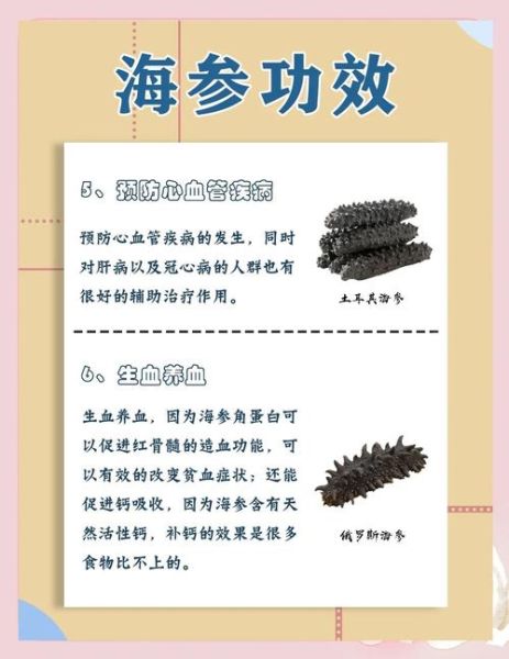 吃海参对人有什么好处_海参的营养价值与功效-第1张图片-山城妙识
