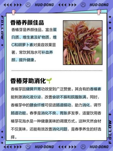 香椿花泡水功效_香椿花泡水有什么作用-第1张图片-山城妙识