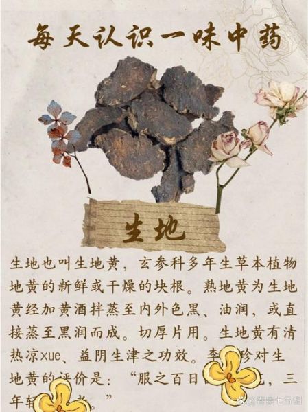 生地和熟地的区别_如何正确选用生地熟地-第3张图片-山城妙识 生地和熟地的区别_如何正确选用生地熟地-第3张图片-山城妙识