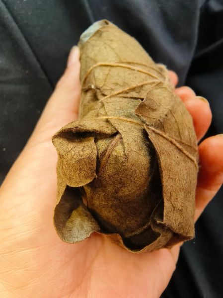 盗墓笔记粽子长什么样_粽子真实照片解析-第1张图片-山城妙识 盗墓笔记粽子长什么样_粽子真实照片解析-第1张图片-山城妙识