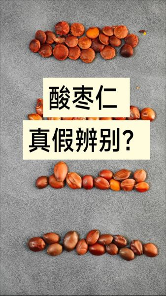 酸枣仁图片大全_如何辨别真假酸枣仁-第3张图片-山城妙识 酸枣仁图片大全_如何辨别真假酸枣仁-第3张图片-山城妙识