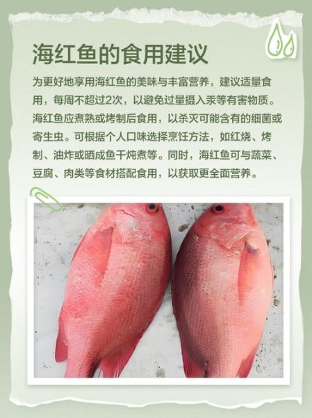 野生海红鱼长什么样_野生海红鱼多少钱一斤-第1张图片-山城妙识