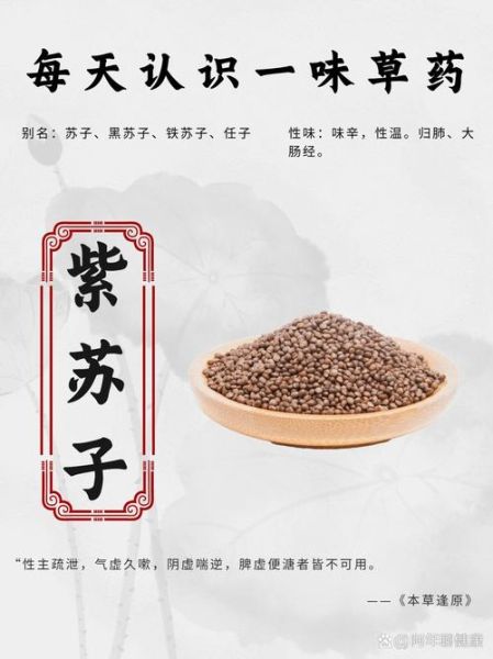 紫苏子泡水喝的功效_紫苏子泡水一天喝几次-第1张图片-山城妙识