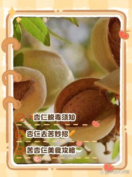 苦杏仁怎么去毒最快_苦杏仁去毒最简单的方法-第1张图片-山城妙识 苦杏仁怎么去毒最快_苦杏仁去毒最简单的方法-第1张图片-山城妙识
