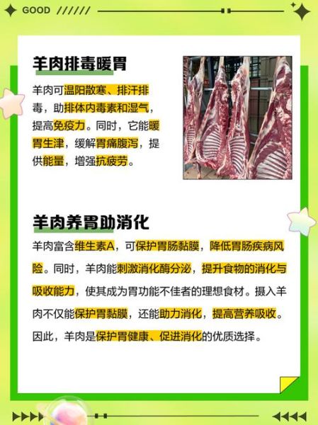 羊肉的功效与作用及禁忌_什么人不能吃羊肉-第1张图片-山城妙识