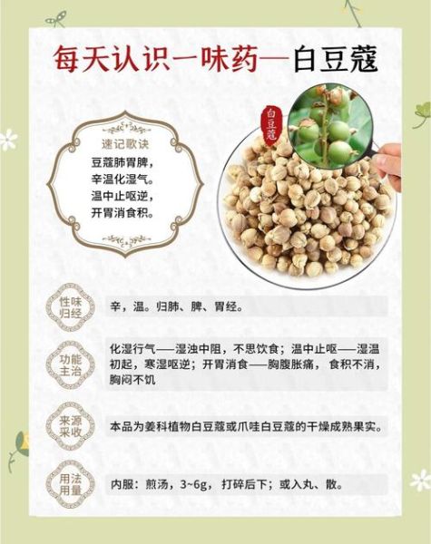 白豆蔻的功效与作用_白豆蔻怎么吃-第1张图片-山城妙识