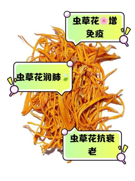虫草花有什么功效与作用_虫草花营养价值高吗-第2张图片-山城妙识