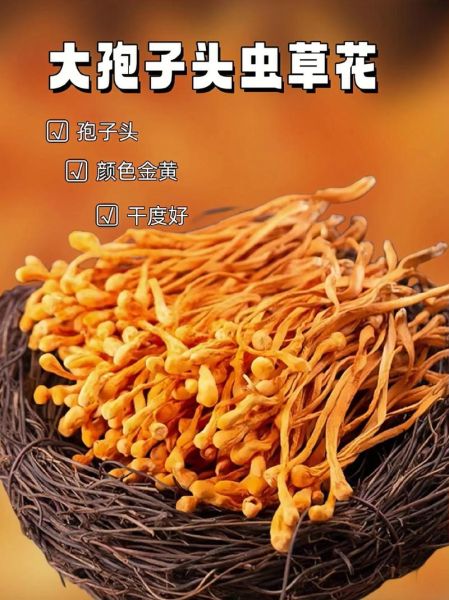 虫草花有什么功效与作用_虫草花营养价值高吗-第3张图片-山城妙识