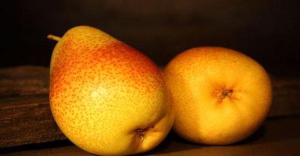 鸭梨大歌词表达了什么_鸭梨大这首歌背后的故事-第2张图片-山城妙识