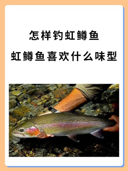 鳟鱼怎么钓_鳟鱼吃什么饵料-第3张图片-山城妙识 鳟鱼怎么钓_鳟鱼吃什么饵料-第3张图片-山城妙识