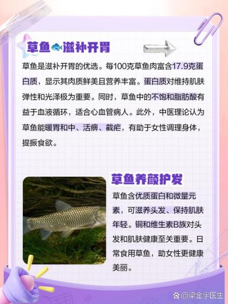 草鱼的营养价值及功效与作用_草鱼适合什么人吃-第3张图片-山城妙识 草鱼的营养价值及功效与作用_草鱼适合什么人吃-第3张图片-山城妙识