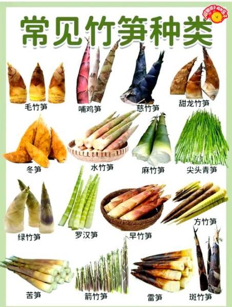 竹笋怎么吃最好吃_竹笋吃法图片大全-第3张图片-山城妙识