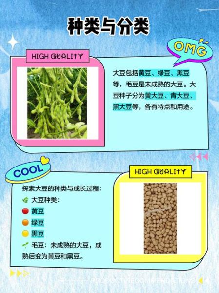 大豆和黄豆的区别_黄豆是不是大豆-第1张图片-山城妙识 大豆和黄豆的区别_黄豆是不是大豆-第1张图片-山城妙识