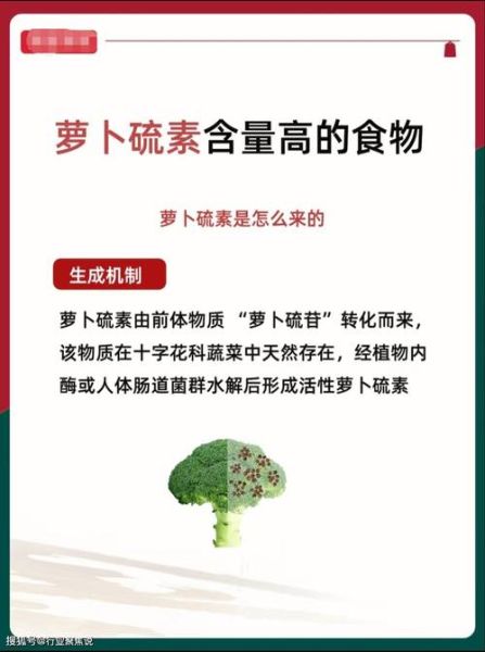 萝卜硫素副作用有哪些_如何避免不适反应-第2张图片-山城妙识