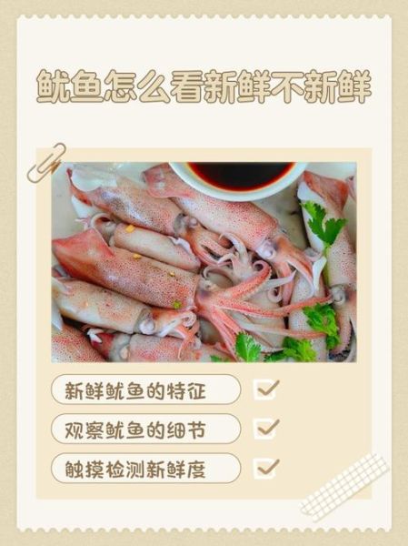 鱿鱼不能和什么一起吃_食用禁忌全解析-第3张图片-山城妙识