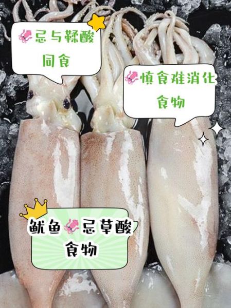 鱿鱼不能和什么一起吃_食用禁忌全解析-第2张图片-山城妙识