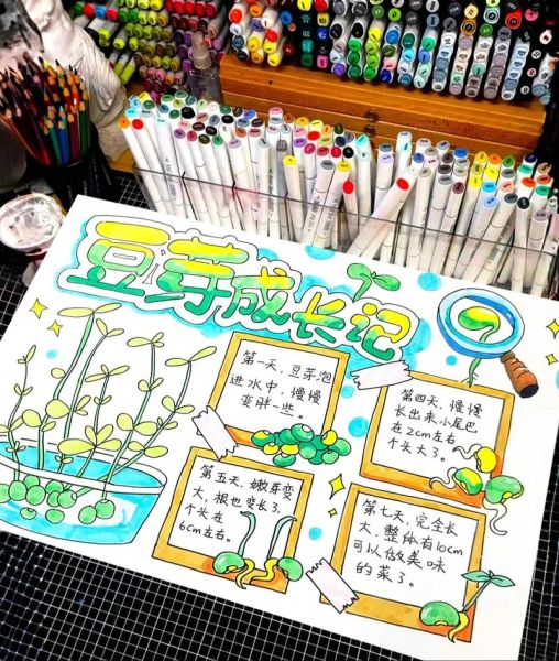 豆芽观察日记七天怎么写_豆芽七天生长记录表-第2张图片-山城妙识 豆芽观察日记七天怎么写_豆芽七天生长记录表-第2张图片-山城妙识