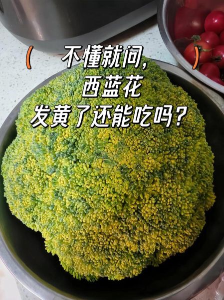 西兰花变黄还能吃吗_西兰花变黄了怎么处理-第1张图片-山城妙识