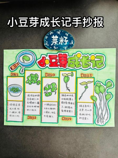 豆芽观察日记七天怎么写_豆芽七天生长记录表-第3张图片-山城妙识 豆芽观察日记七天怎么写_豆芽七天生长记录表-第3张图片-山城妙识