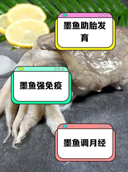 小墨鱼的营养价值_孕妇能吃小墨鱼吗-第2张图片-山城妙识 小墨鱼的营养价值_孕妇能吃小墨鱼吗-第2张图片-山城妙识
