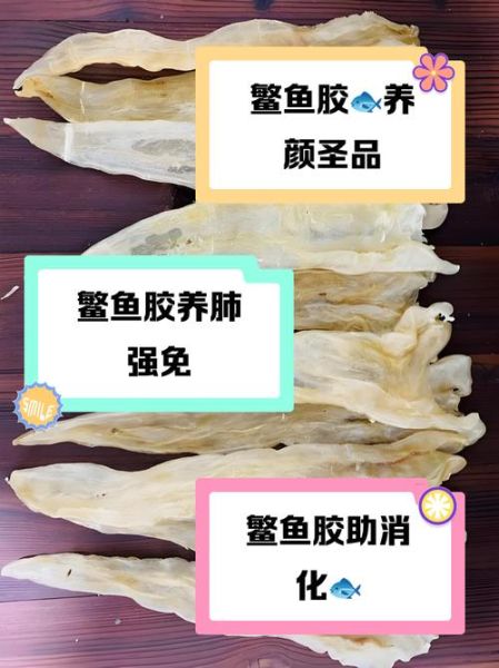 鳇鱼胶的功效与作用_鳇鱼胶怎么吃最好-第2张图片-山城妙识 鳇鱼胶的功效与作用_鳇鱼胶怎么吃最好-第2张图片-山城妙识