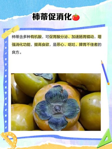 柿蒂的功效与作用_柿蒂的禁忌有哪些-第3张图片-山城妙识 柿蒂的功效与作用_柿蒂的禁忌有哪些-第3张图片-山城妙识