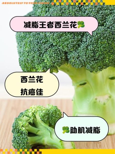 减肥吃西兰花还是花菜_哪个更掉秤-第1张图片-山城妙识 减肥吃西兰花还是花菜_哪个更掉秤-第1张图片-山城妙识