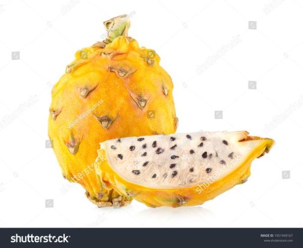 dragon_fruit_pronunciation_guide-第2张图片-山城妙识 dragon_fruit_pronunciation_guide-第2张图片-山城妙识