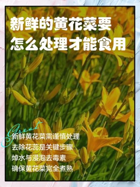 黄花菜怎么处理才能吃_鲜黄花菜去毒步骤-第1张图片-山城妙识 黄花菜怎么处理才能吃_鲜黄花菜去毒步骤-第1张图片-山城妙识