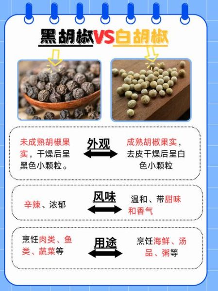 白胡椒和黑胡椒做菜区别_哪个更香-第1张图片-山城妙识 白胡椒和黑胡椒做菜区别_哪个更香-第1张图片-山城妙识